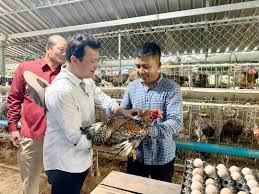 Improved Poultry Genetics Boost Kenya’s Food Security and Rural ...